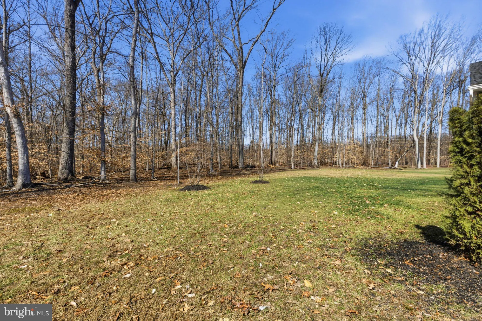1001 SHANNON FALLS DR, NEWARK, DE 19702 | The Cascades | 55+ Home For Sale