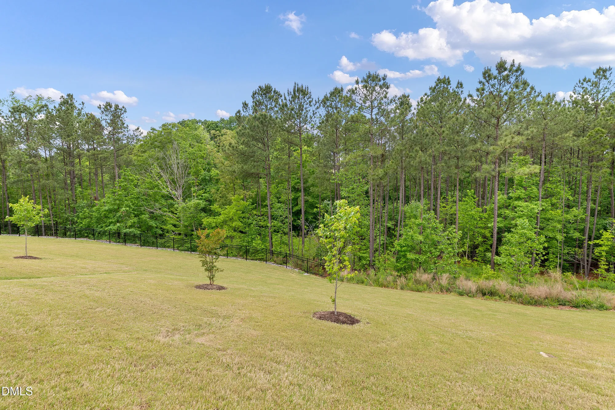 1241 WHITE FLINT CIR, DURHAM, NC 27703 | Fendol Farms | 55+ Home For Sale